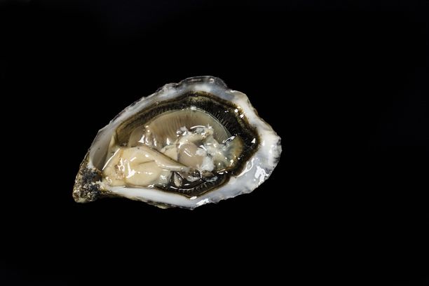 Osterit aiheuttaneet 150 ruokamyrkytystä Helsingissä