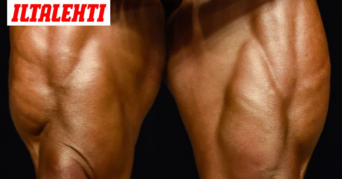 Muskelijärkäleen hurjat reidet hämmentävät - "Iso-Ramista" povataan ...