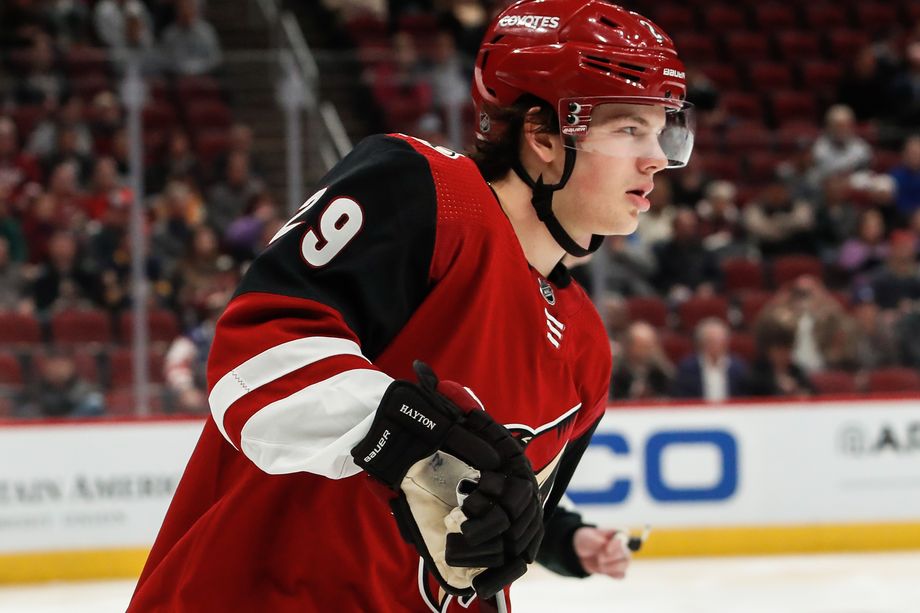 Barrett Hayton lainalle Ilvekseen