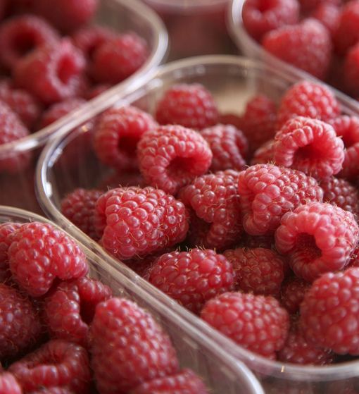 Kerää ja pakasta vadelmat nopeasti