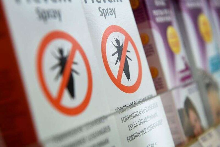 Täi- ja kihomatoepidemia piinaa päiväkoteja ja kouluja ...