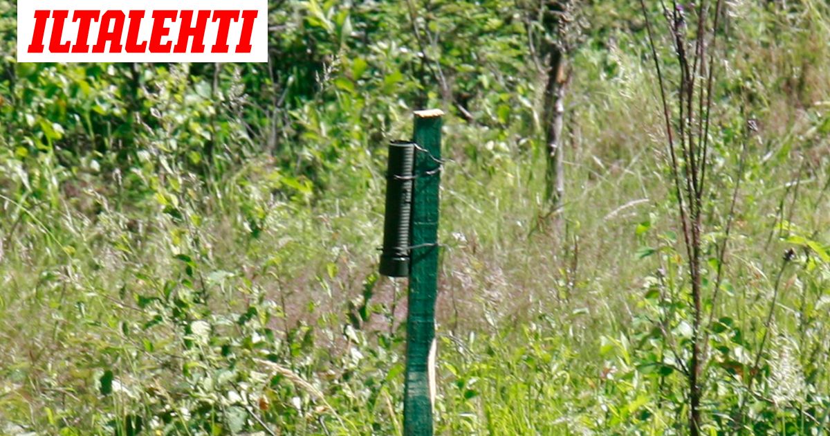 Tätä mieltä ovat poliitikot: Miinat voi tuhota