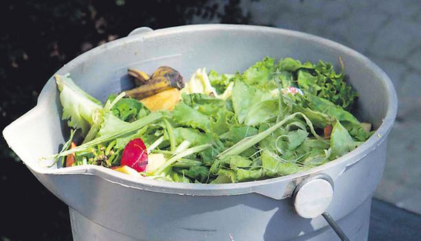 Kompostointi on laiskan ekoteko