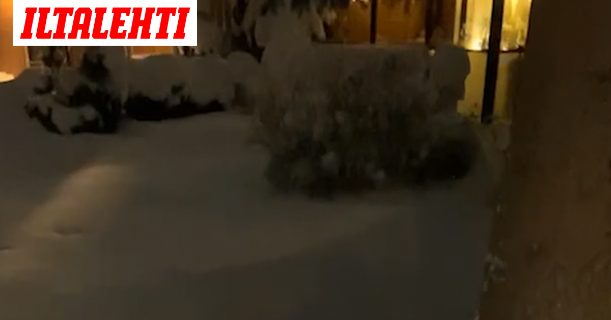 Leevi luuli naapurin pikkulapsen kirkuvan kotipihallaan – Kun hän nosti ...