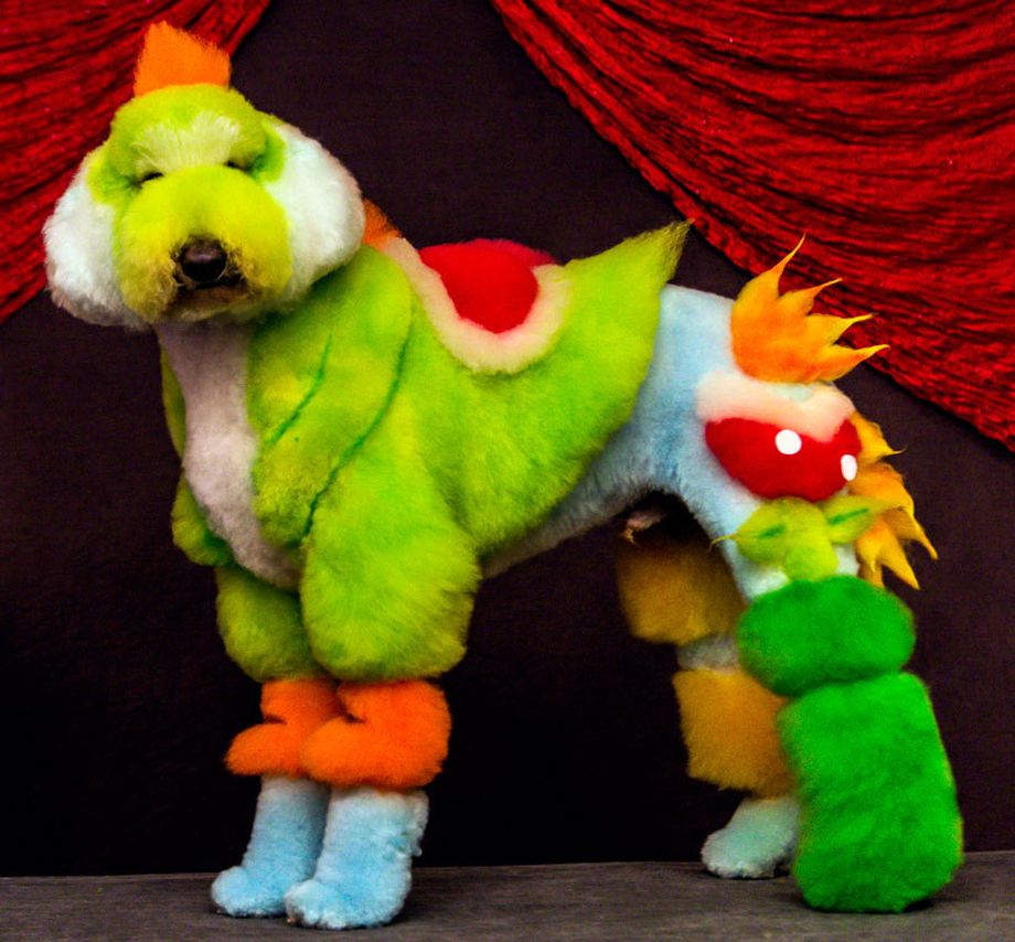 No huh, menikö koirien tuunaus vähän överiksi?