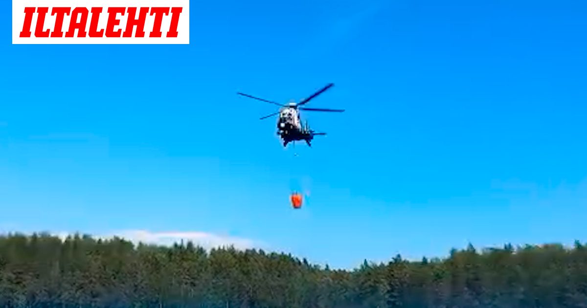 Kalastaja koki harvinaisen keskeytyksen Vantaalla – ”Ihan kuin myrsky”