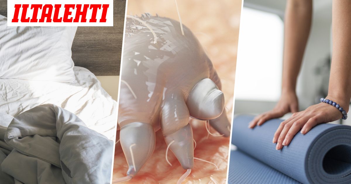 Syyhy voi tarttua jumppamatosta, mutta ei koirasta