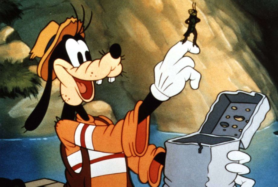 Hurja väite: Hessu Hopo ei ole koira