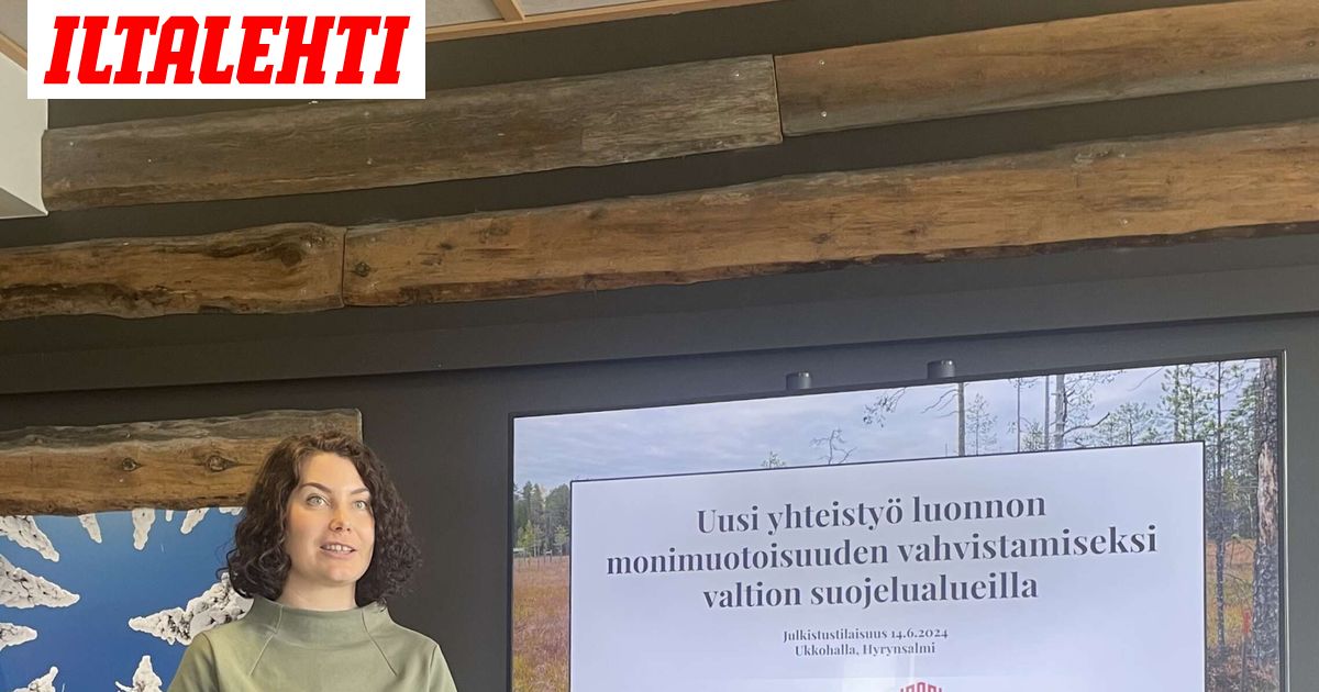 Valtion suota aletaan ennallistaa yritysten rahoilla – Ministeri ...