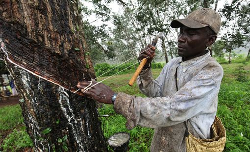 Orjuus on yleisempää kuin koskaan ihmiskunnan historiassa
