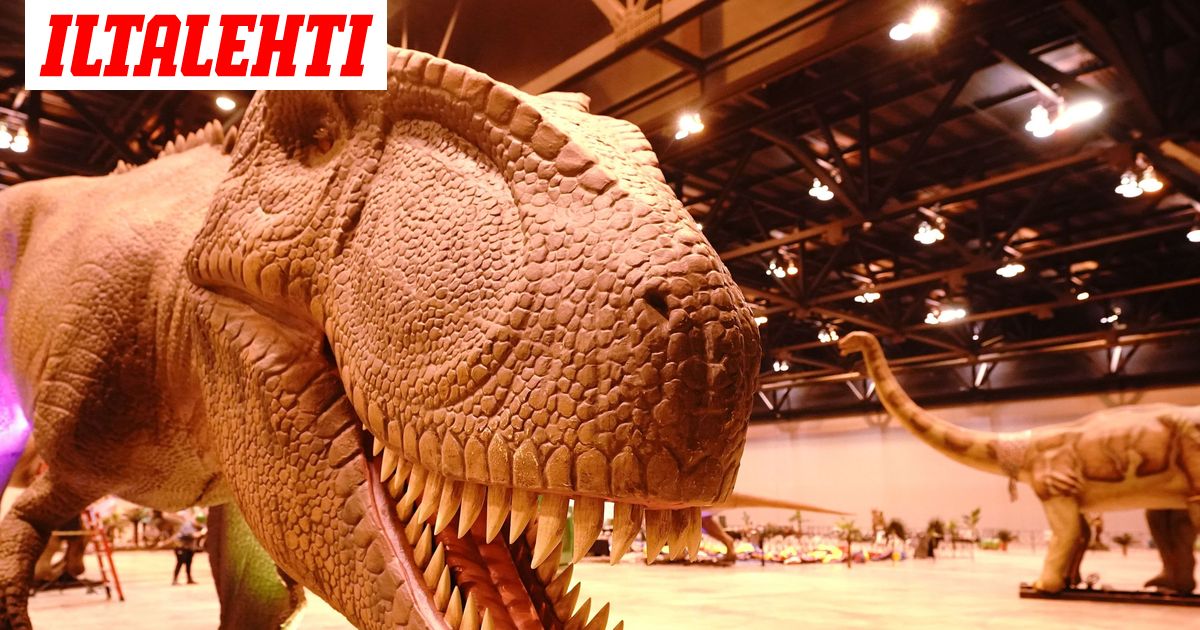 Tutkijat löysivät uuden dinosauruslajin
