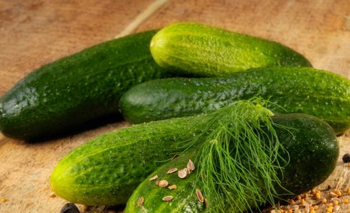 Tämä on maailman paras kurkku - mummonkurkkuihin ei todellakaan muuta ...