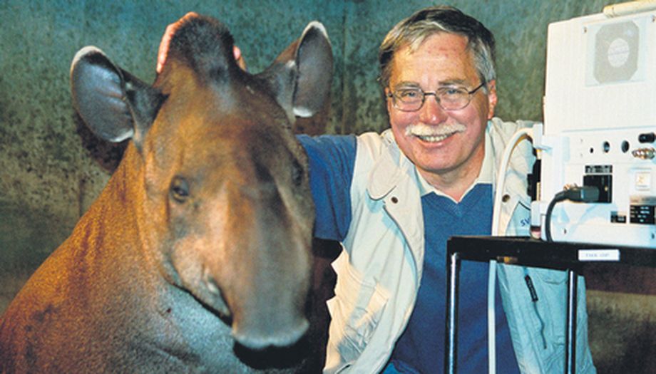 Tapiiri varastaa shown