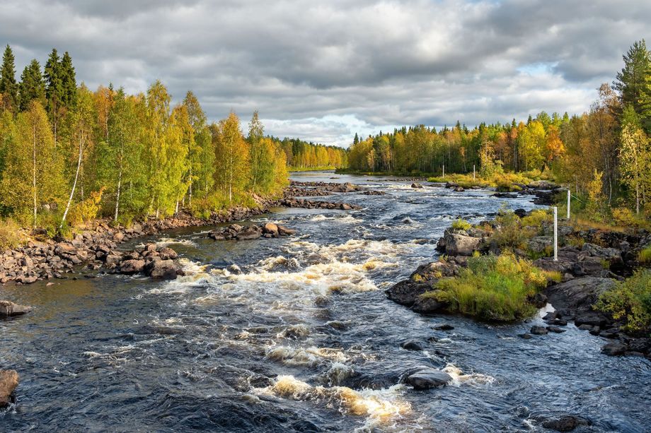 Ruskavahti kertoo kätevästi ruskan etenemisen