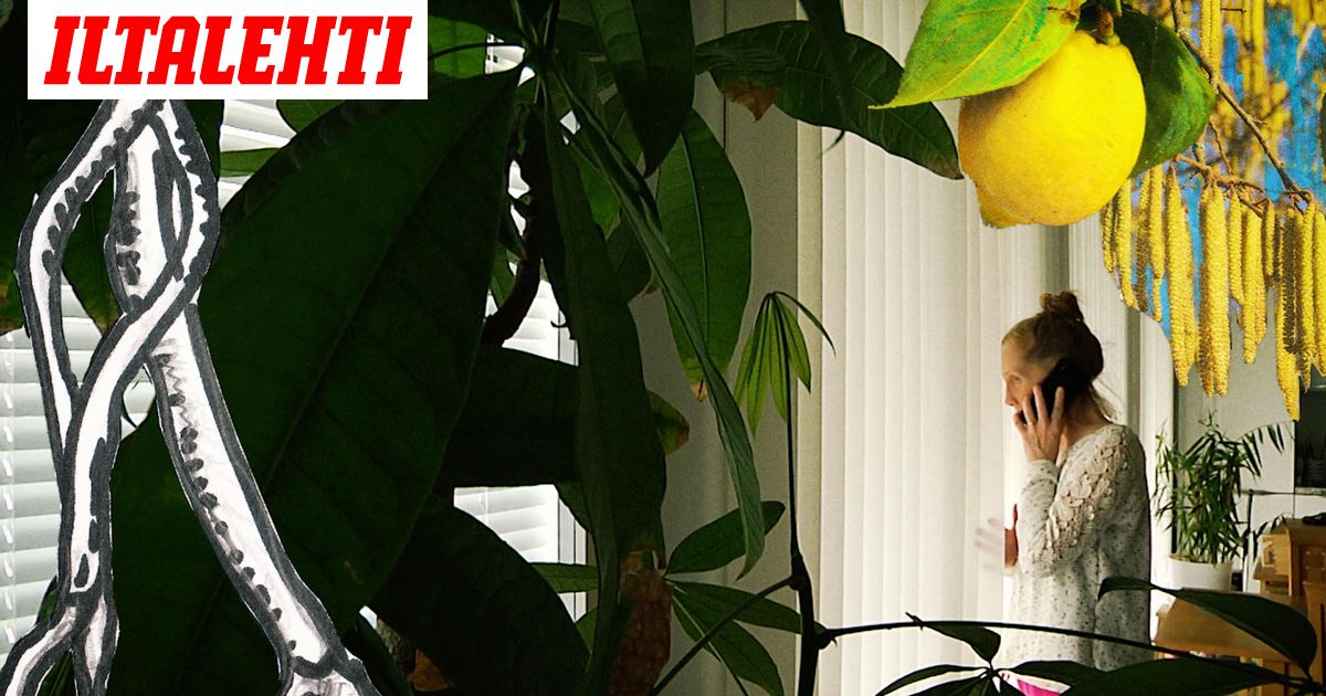 Ylen dokumentti: Outi on pettänyt miestään yli 40 vuotta