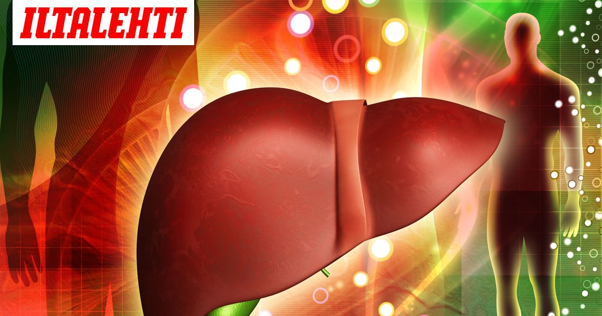 Tavallinen suoliston bakteeri voi sairastuttaa rasvamaksaan - bakteeri ...