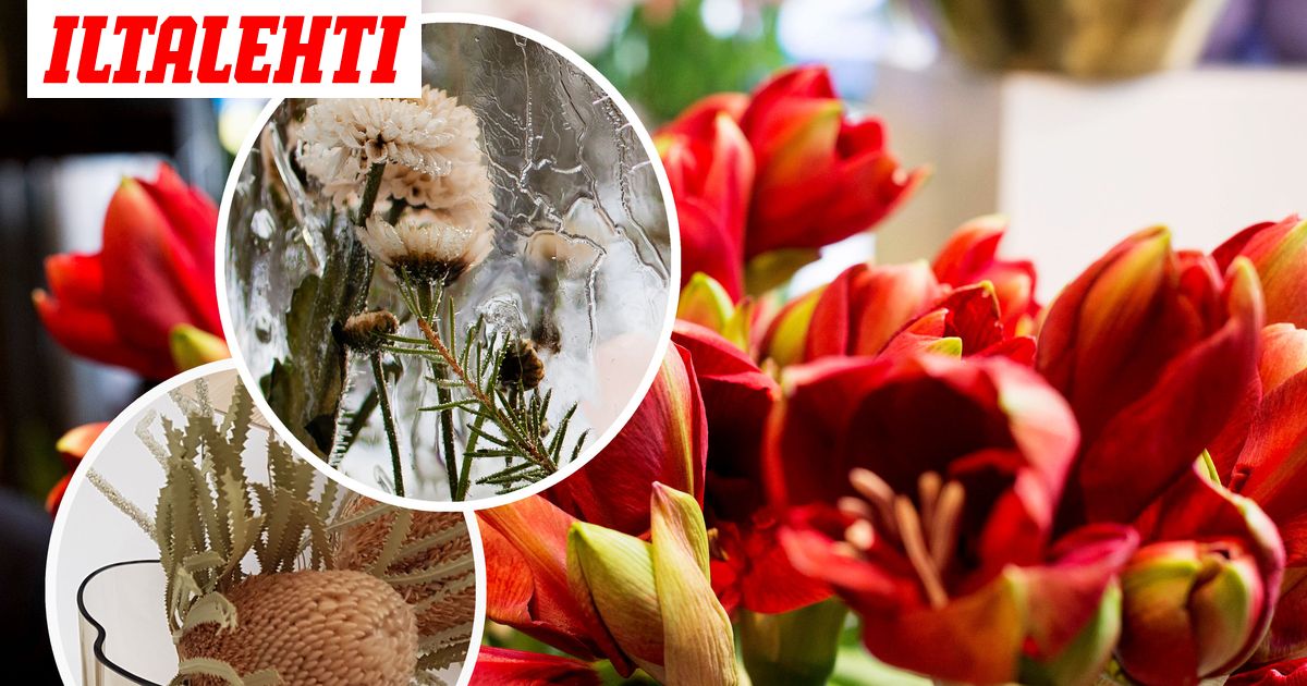 Joulukukat: tällaisia ovat perinteisistä poikkeavat joulukukat nyt