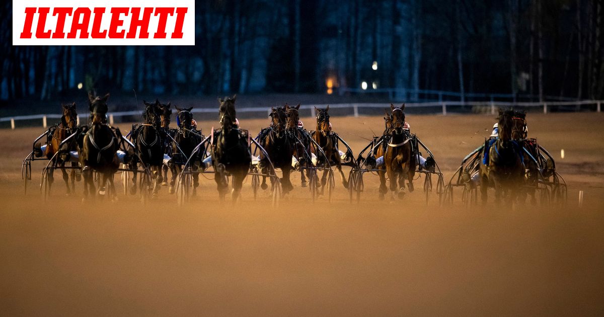 Ravit: hevospula vaivaa järjestäjiä, Vermo huolestuttaa