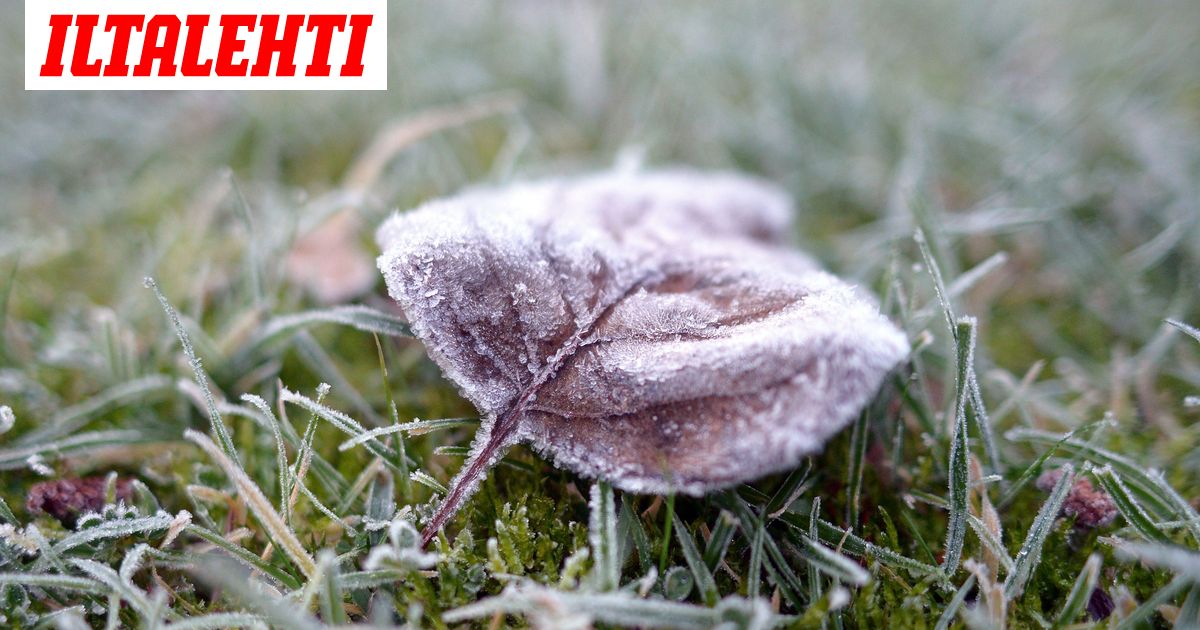 Kuukausiennuste: terminen talvi kolkuttelee Lapissa