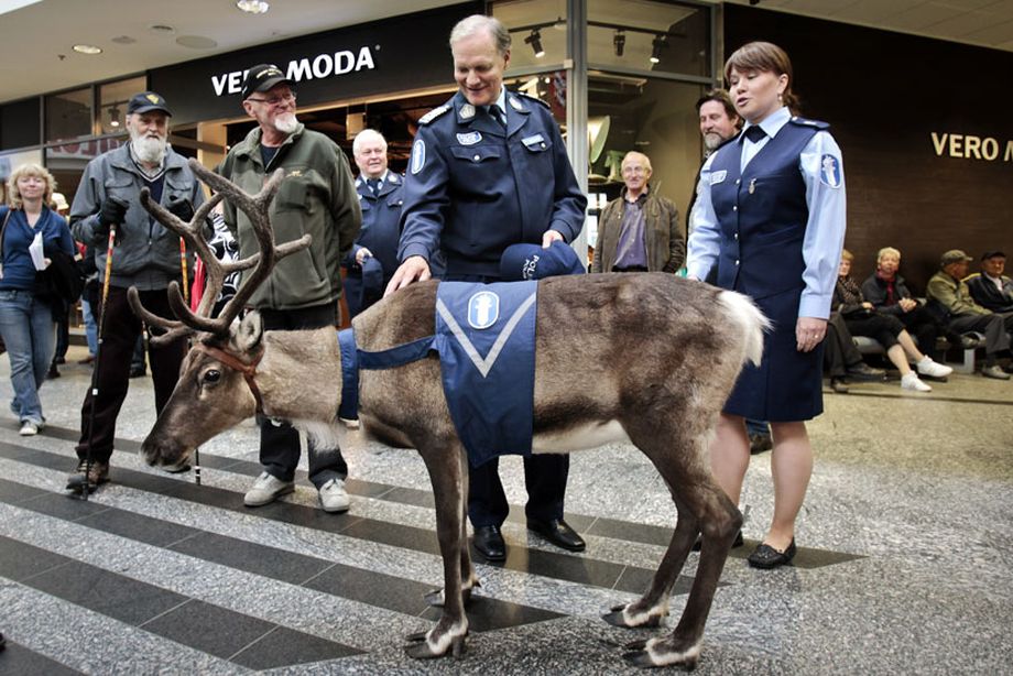 Poliisi suruissaan: Nimikkoporo Maija kuoli
