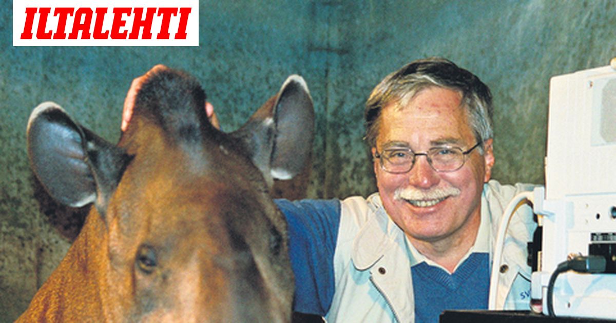 Tapiiri varastaa shown