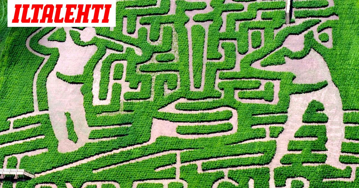 Huh, mikä labyrintti! - katso kuva