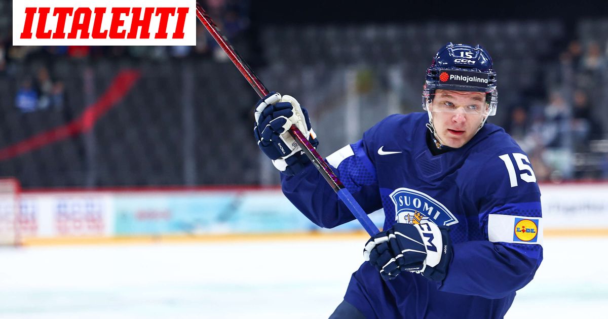 Antero Mertaranta letkautti – Näin Leijonien pelaaja vastasi