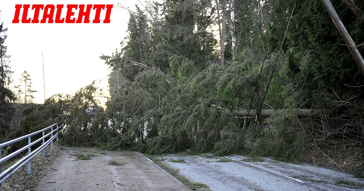 Syysmyräkät saapuvat – sähkökatkot mahdollisia
