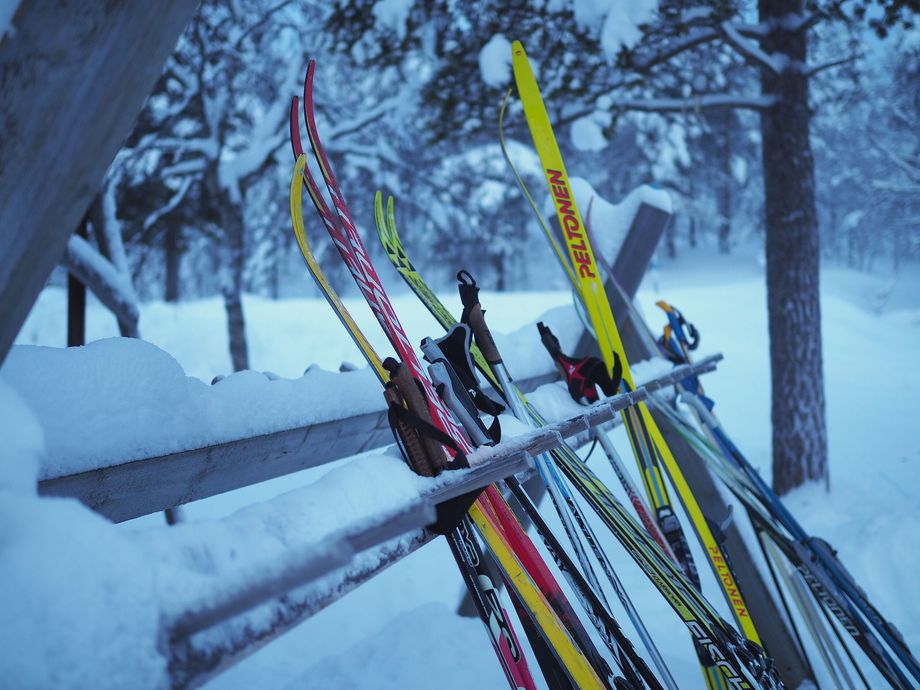 Urho Kekkosen kansallispuiston tautiepidemian syy selvisi