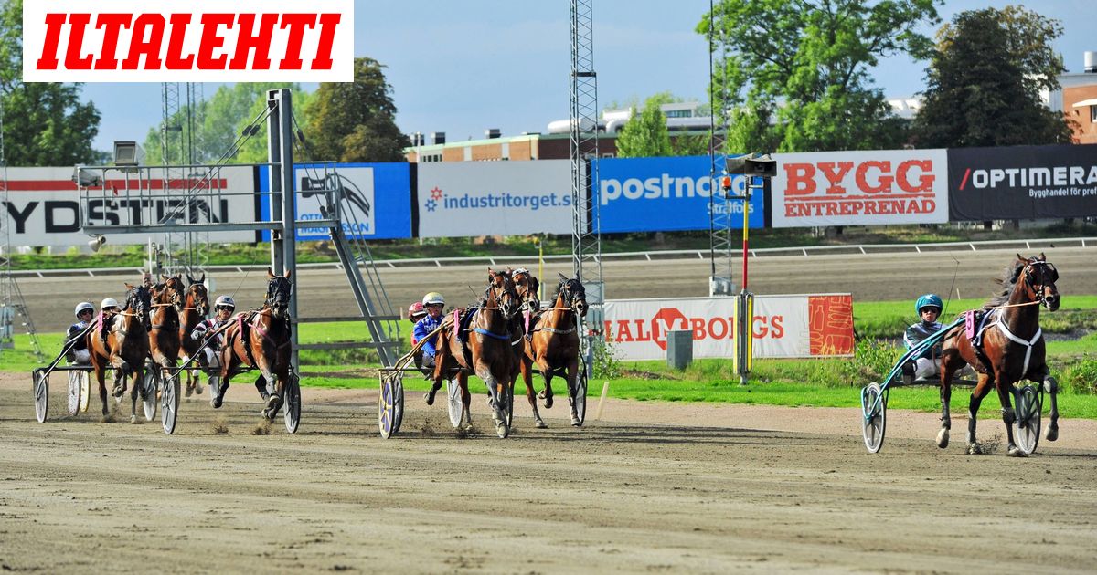 Vetovihje: Rommen T64-ravit, Månprinsen A.M. jättisuosikkina