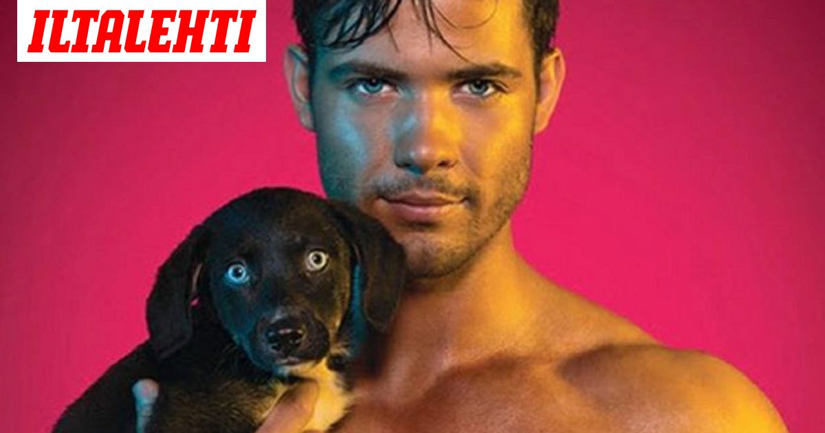 Rescue-koiria pitelevät komistukset sulattavat sydämiä ja alushousuja