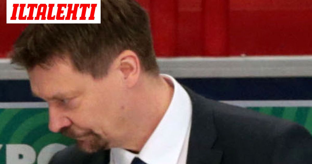 Jalonen MTV3:lle: "Piip kuin pientä oravaa"