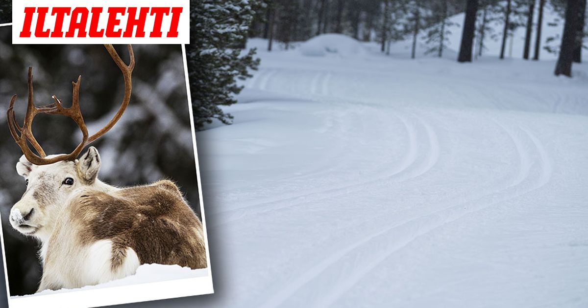 Lappi: Suomen parhaissa hiihtopaikoissa ei ole kilpahiihtäjiä