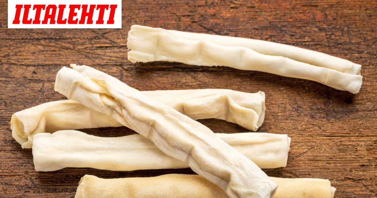 Näissä koiran puruluissa voi olla tuotevirhe