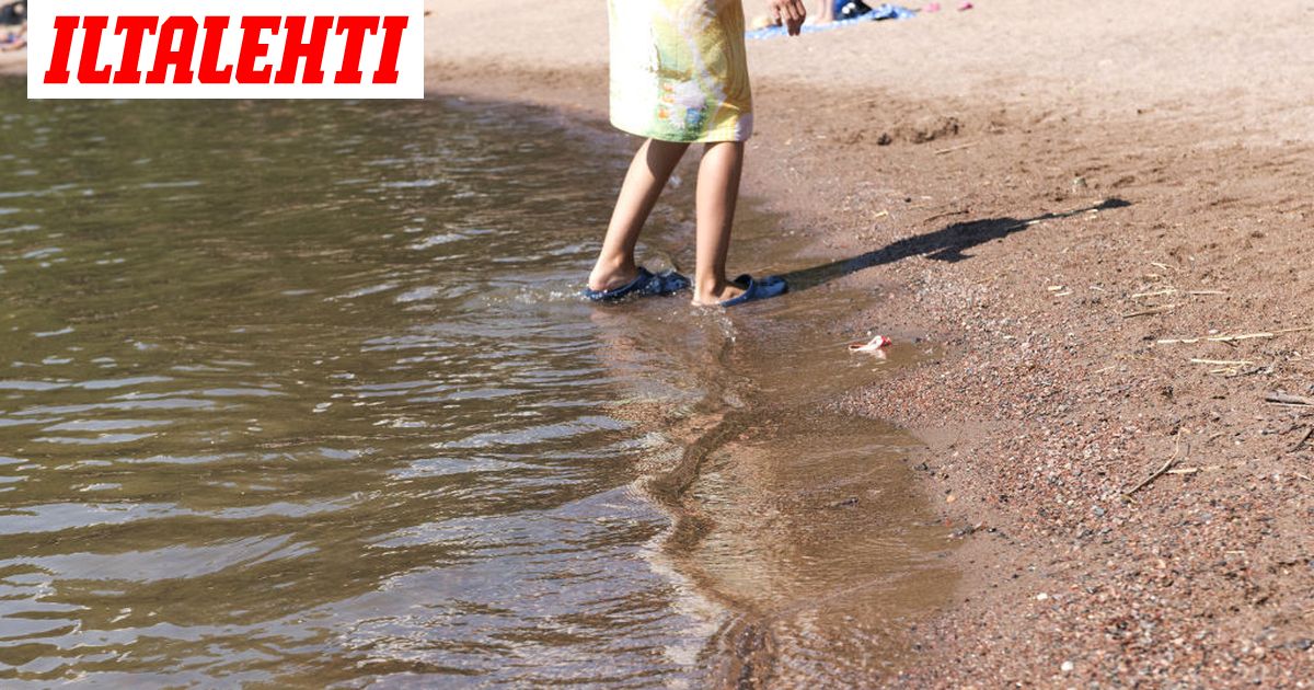 Uimarit eivät piittaa vaarallisesta sinilevästä - ”Lapset uimassa ja ...
